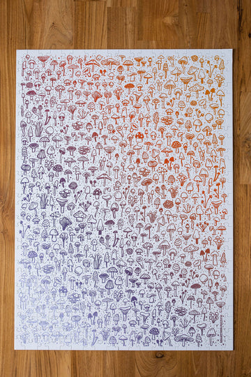 Jigsaw Puzzles by Brainstorm