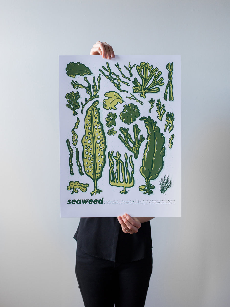 Seaweed Print by Brainstorm